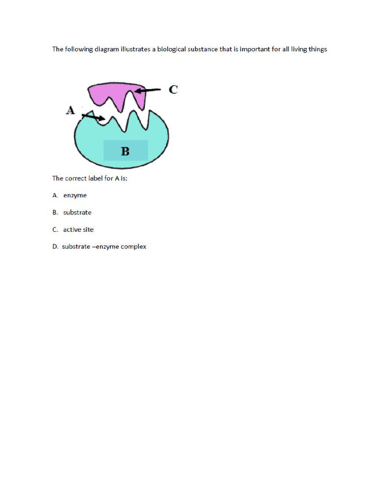 Module 1 example questions | PDF