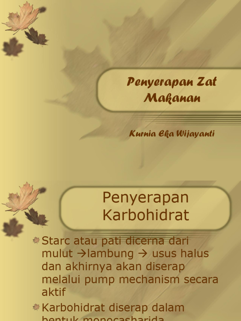 Penyerapan Zat Makanan | PDF