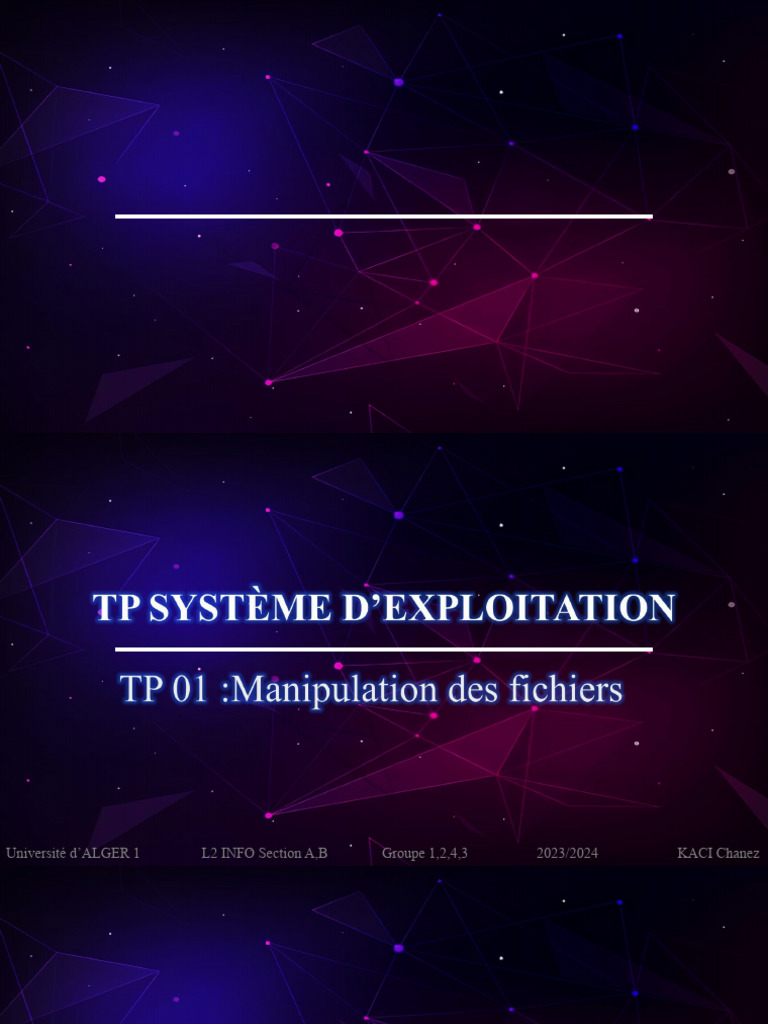 TP SE 1 Manipulation Fichiers | PDF