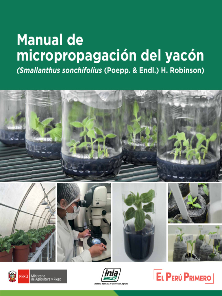Manual de Micropropagación Del Yacón (Smallanthus Sonchifolius (Poepp ...