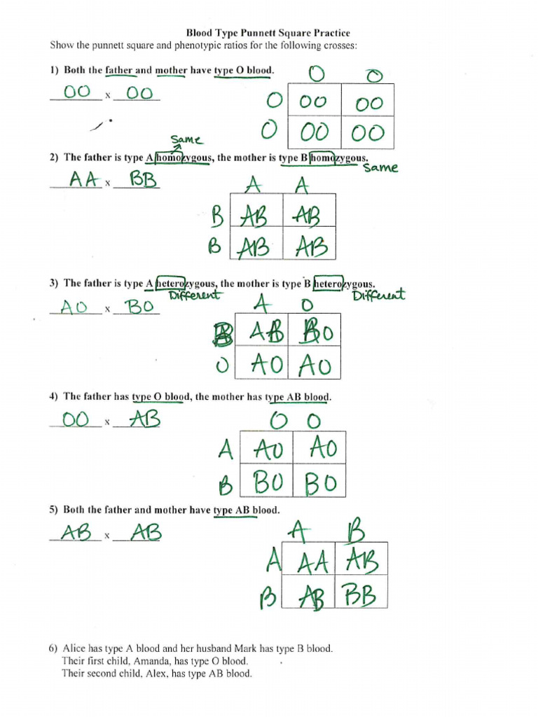 Blood Typing Simple Punnet Squares | PDF