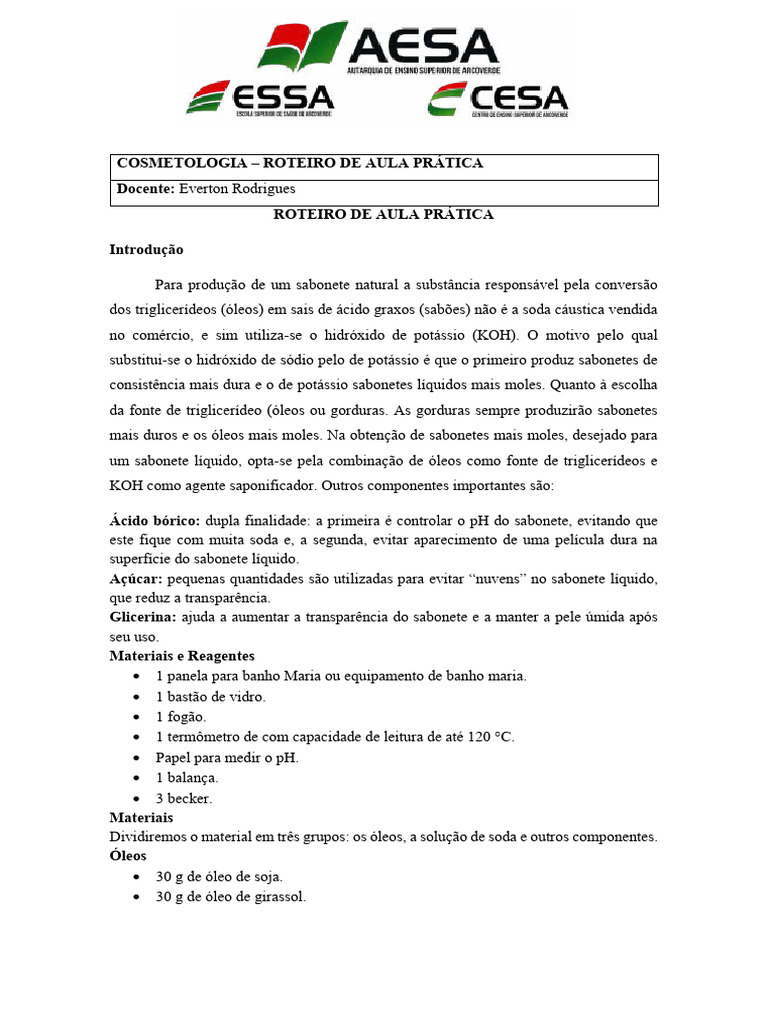 Roteiro de Aula Pratica | PDF