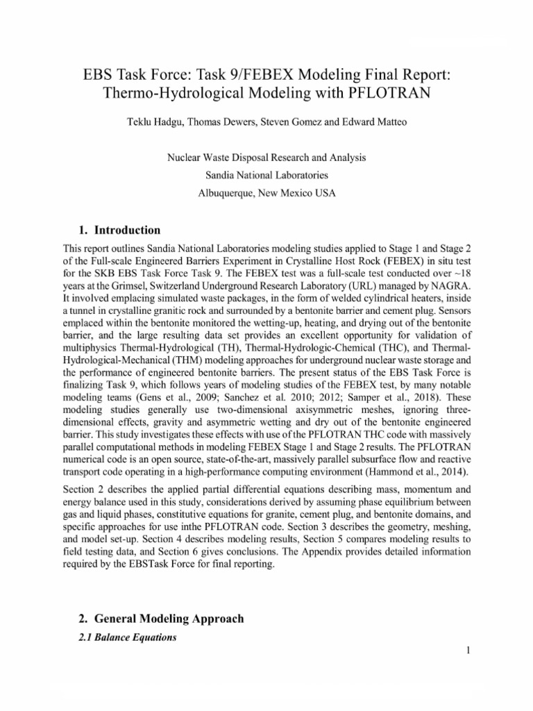 Ebs Task 9 Febex Modeling Final Report, THM Pflotran | PDF