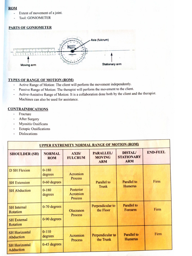 Range of Motion | PDF