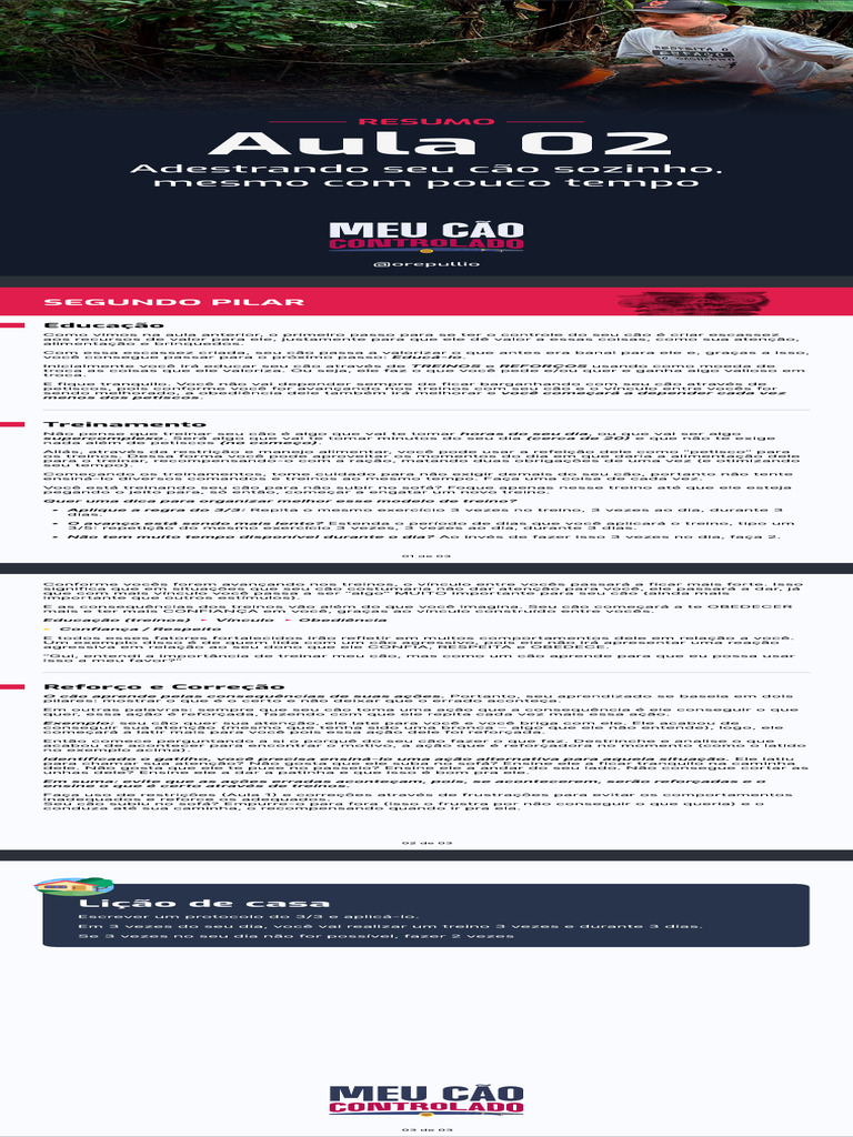 Resumo Aula 02 | PDF