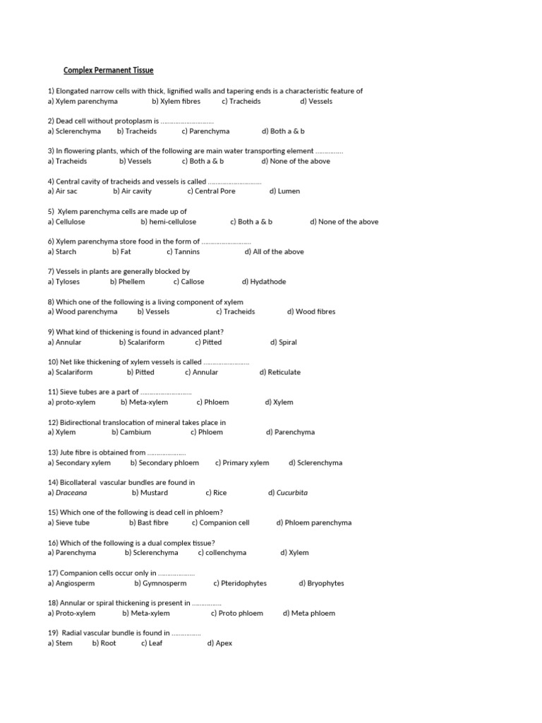 Complex Permanent Tissue and VB-3 | PDF