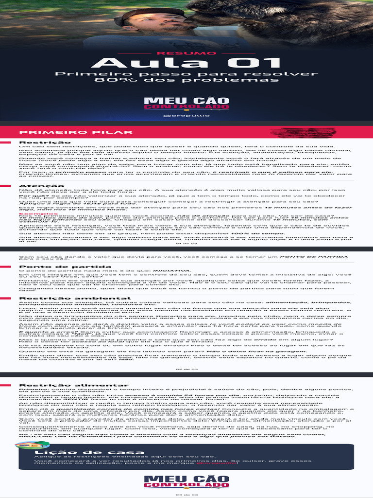 Resumo Aula 01 | PDF