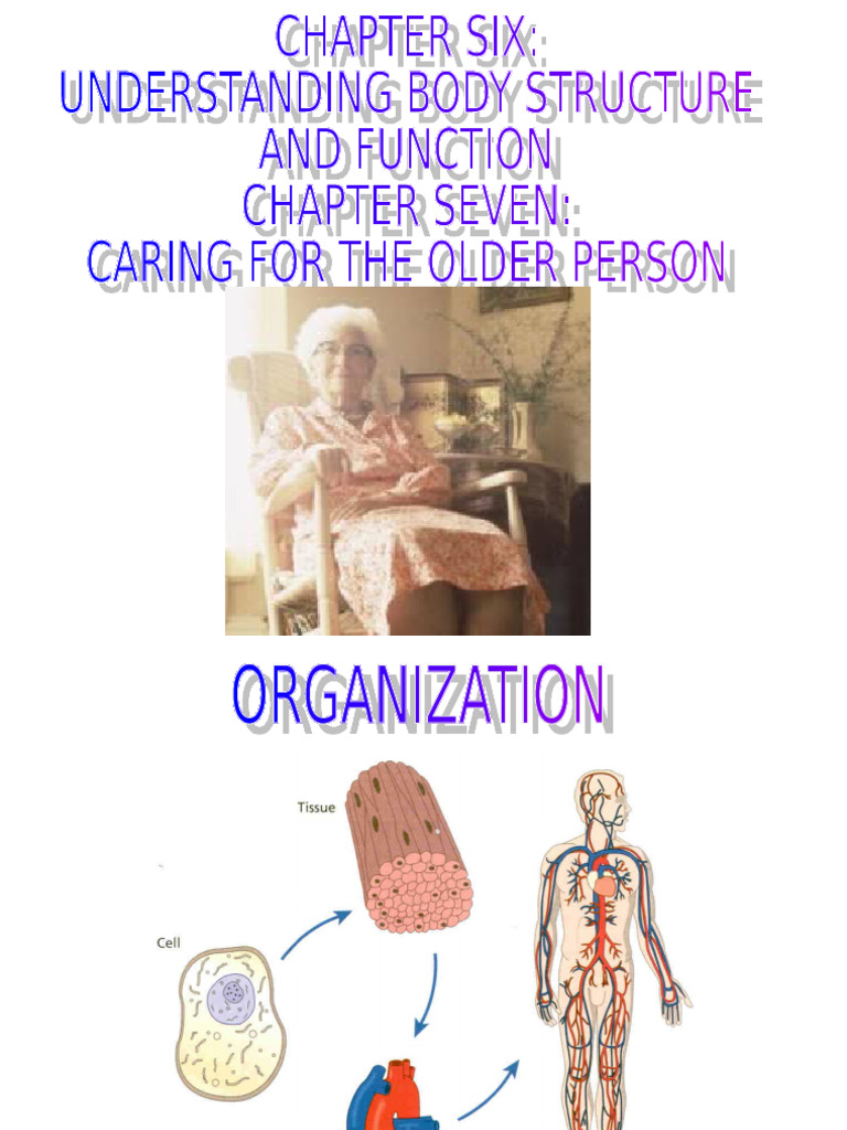 Chapter 6 & 7 Power Point | PDF
