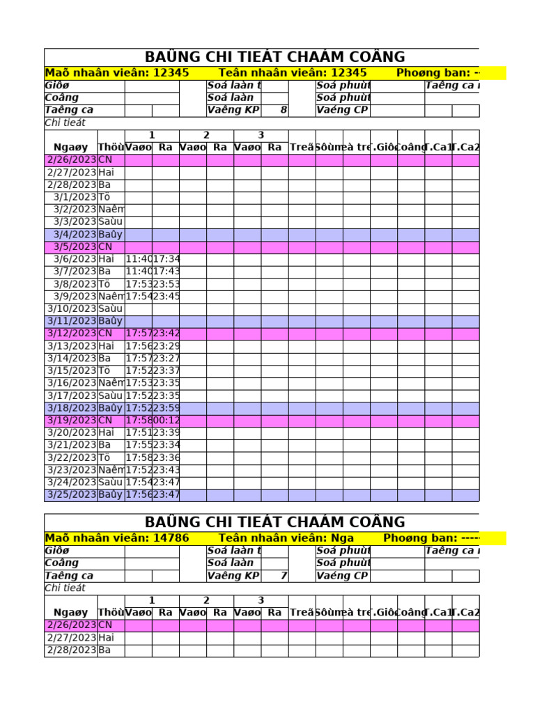 Baûng Chi Tieát Chaám Coâng: Maõ Nhaân Vieân: 12345 Teân Nhaân Vieân ...