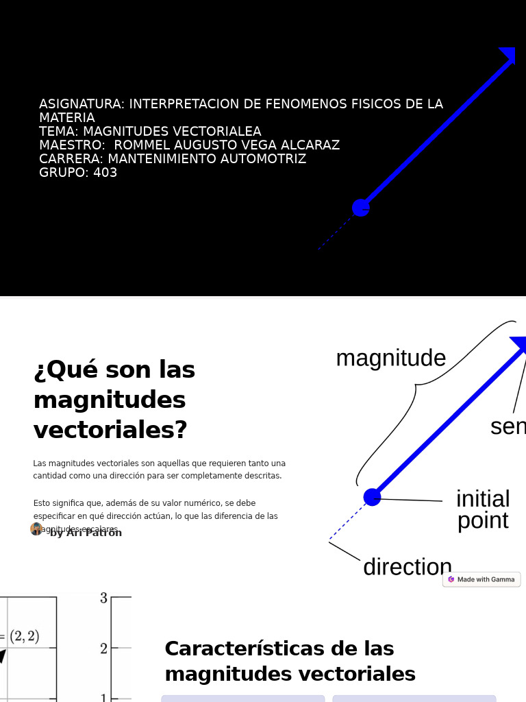 Que Son Las Magnitudes Vectoriales | PDF