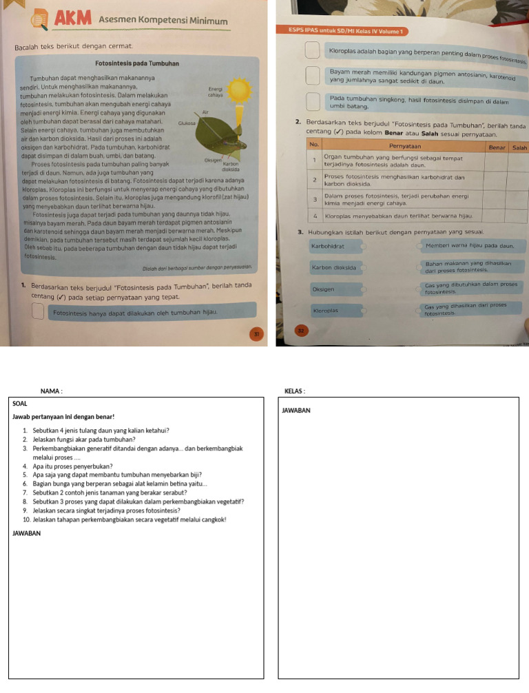 Ulangan Harian Ipas | PDF | Science & Mathematics