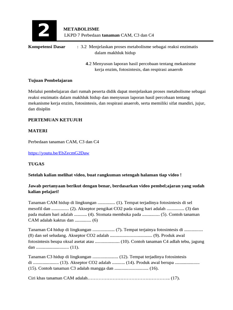 LKPD 8 Perbedaan Tanaman CAM,C4 Dan C3 | PDF