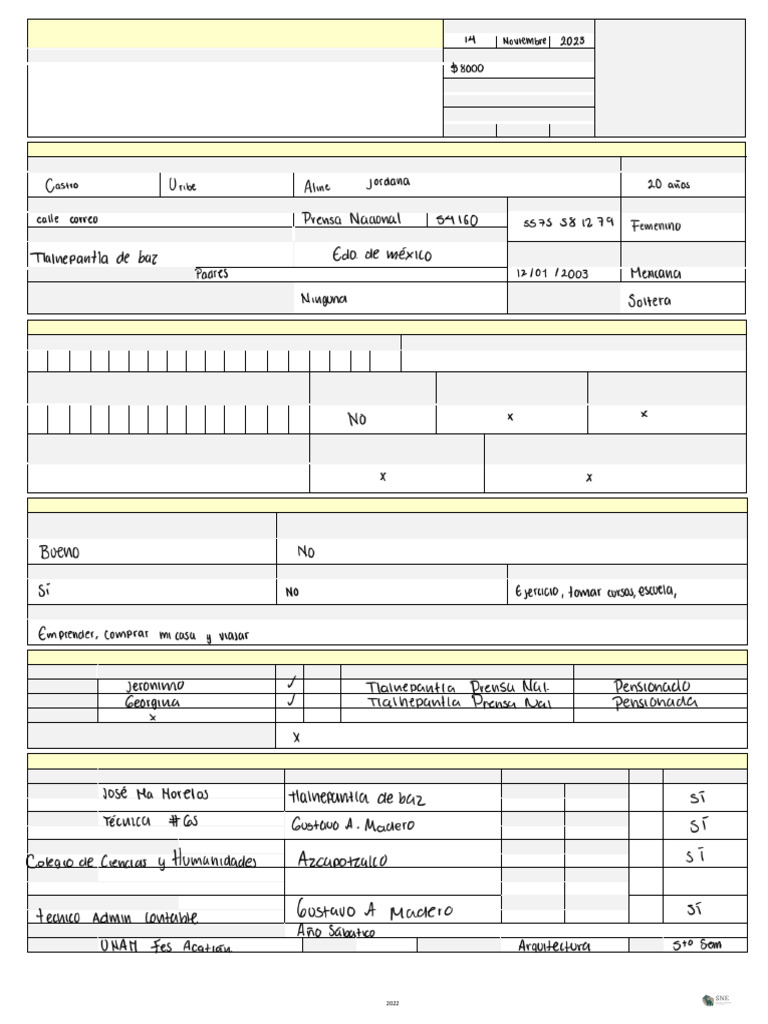 SNE_SOLICITUD_DE_EMPLEO_PLANTILLA_PDF | PDF