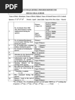 MDM Monthly Report Format Template | PDF