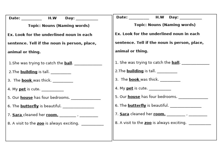 nouns hw worksheet | PDF