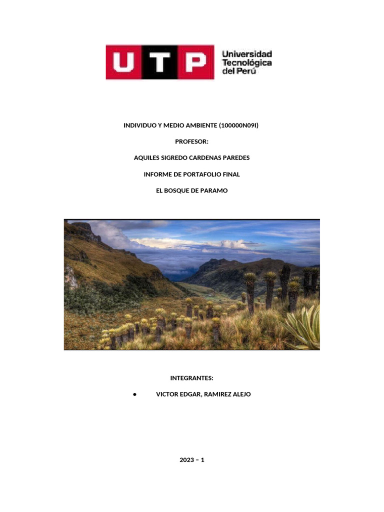 Portafolio Final - Victor Edgar Ramirez Alejo | PDF