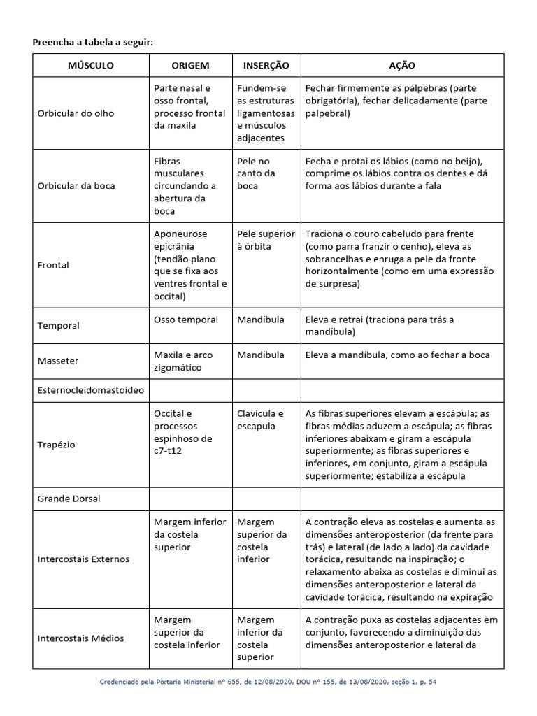 Ativ Musc Anato 231 | PDF