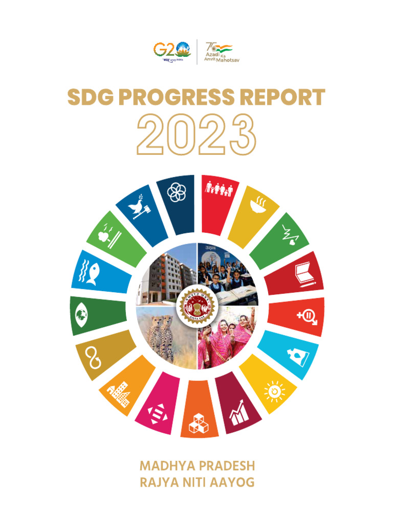 SDG Progress Report 2023 | PDF