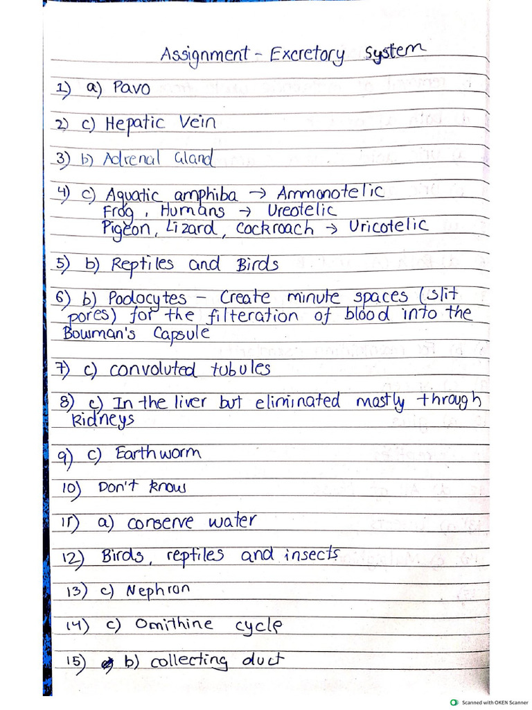 Neel - Excretory System PYQs | PDF