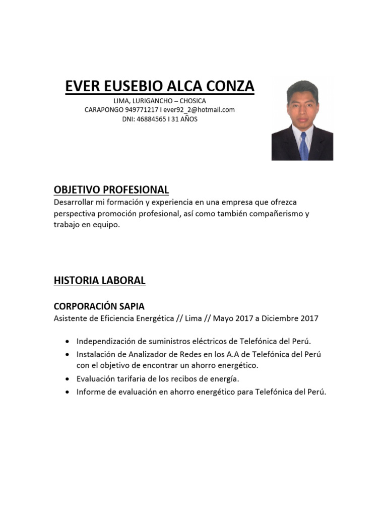 Curriculum Vitae 2024 | PDF