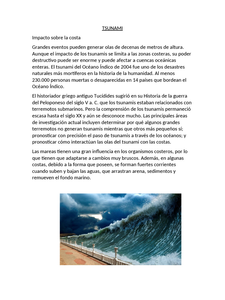 TSUNAMI 2 | PDF