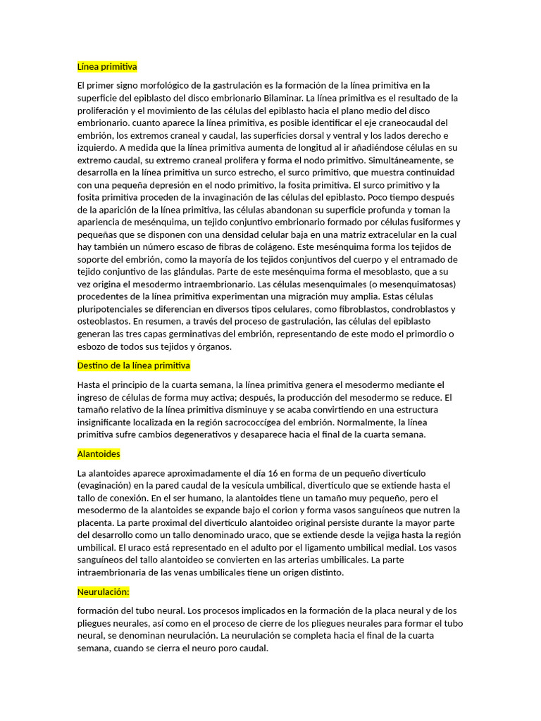 Línea Primitiva | PDF