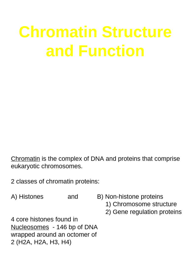 Chromatin Structure - AG | PDF