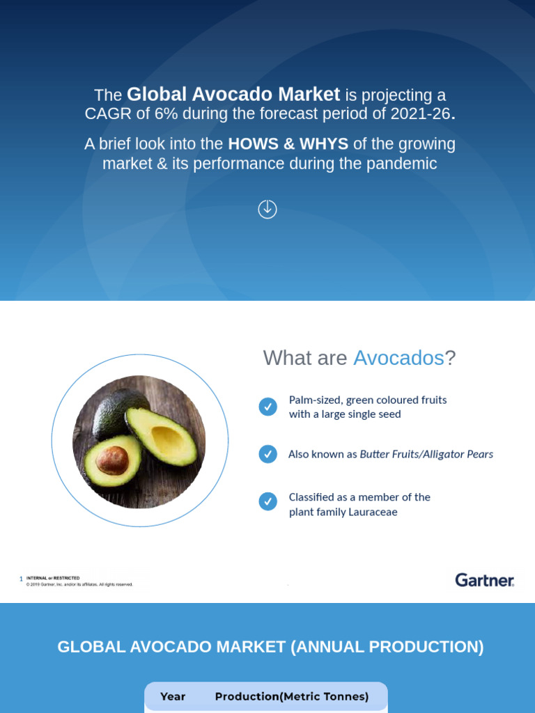Gartner Assignment | PDF