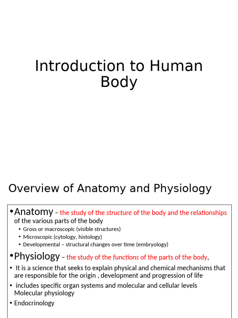 Intro To Anatomy - Human Body | PDF