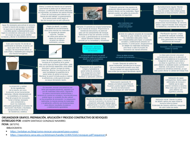 ORGANIZADOR PROCESO DE REVOQUES | PDF