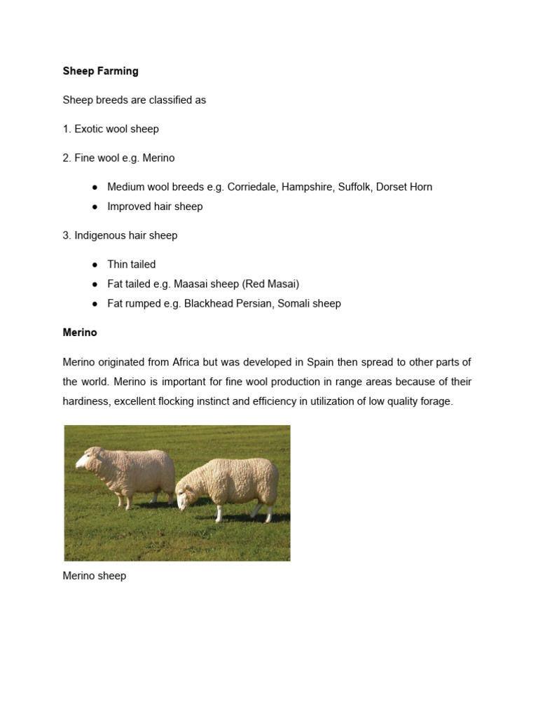 Sheep Farming | PDF | Sheep | Menstrual Cycle