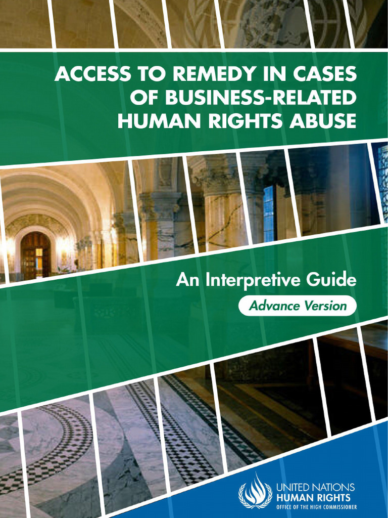 Access-To-Remedy-Bhr-Interpretive-Guide-Advance-Version-Reserch QN | PDF