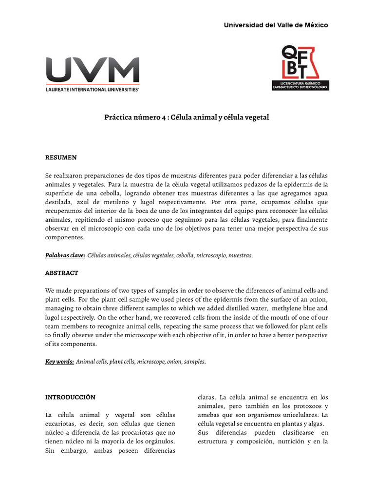 Biotec 4. Célula Animal y Vegetal | PDF