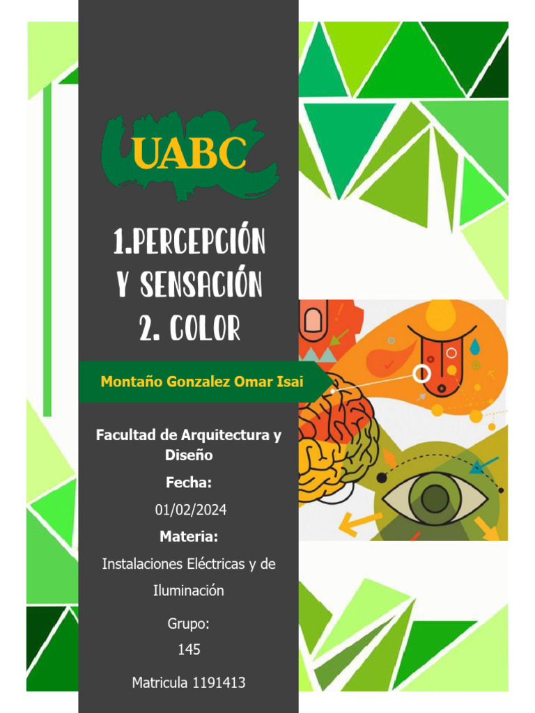 Percepción y Sensación | PDF