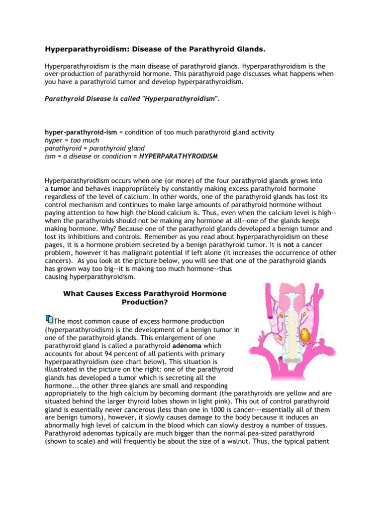 Document Analysis and Data Structure | PDF | Parathyroid Gland | Adenoma
