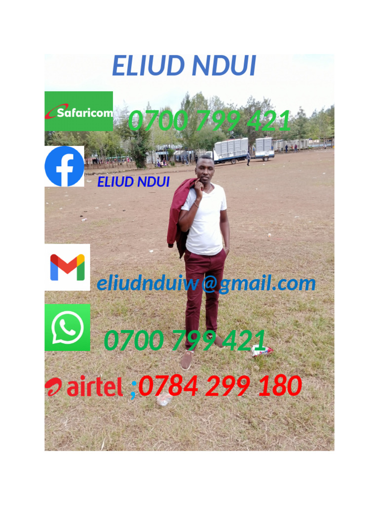 Eliud Ndui | PDF