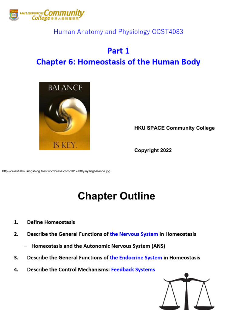 #6 Homeostasis of The Human Body | PDF