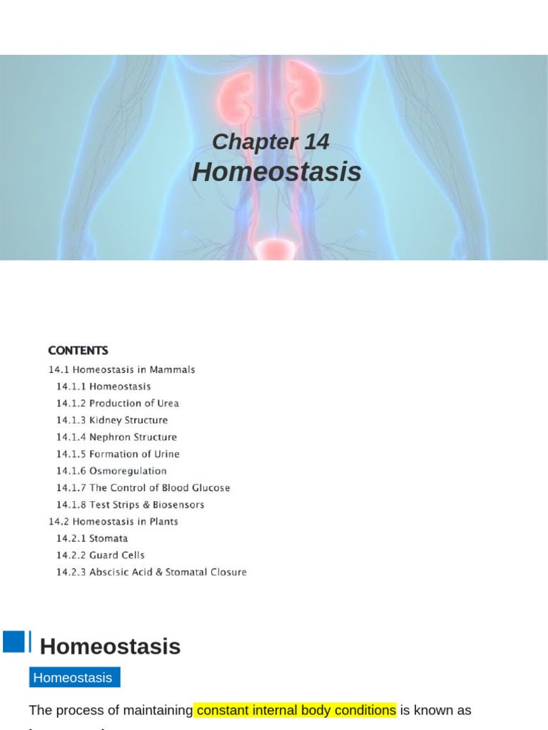Chapter 14 Homeostasis | PDF