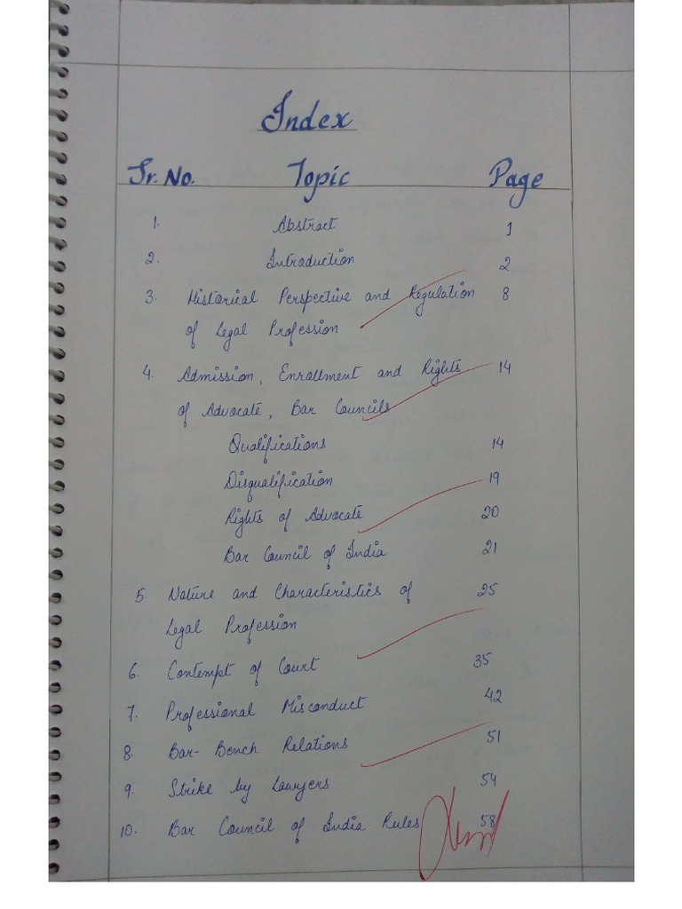 Professional Ethics Practical File | PDF