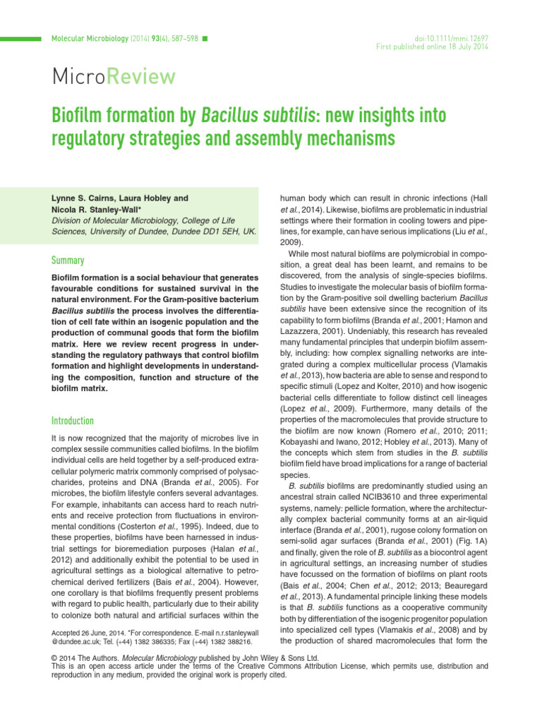 Molecular Microbiology - 2014 - Cairns - Biofilm Formation by Bacillus ...
