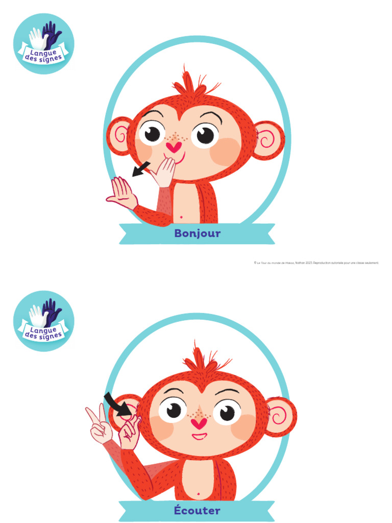 Makoo Flashcards LSF | PDF