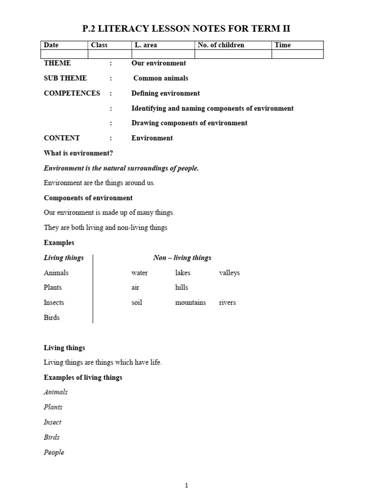 p.2 Literacy Lesson Notes Term II | PDF