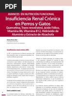 Cistocentesis | PDF | Vejiga urinaria | Ciencias de la Salud