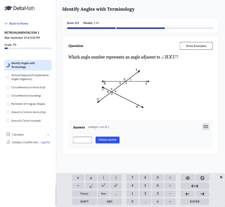 DeltaMath Student Application | PDF