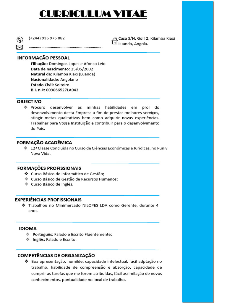 Curriculum Vitae | PDF