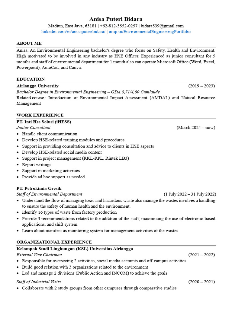 CV HSE Anisa Puteri | PDF | Seni