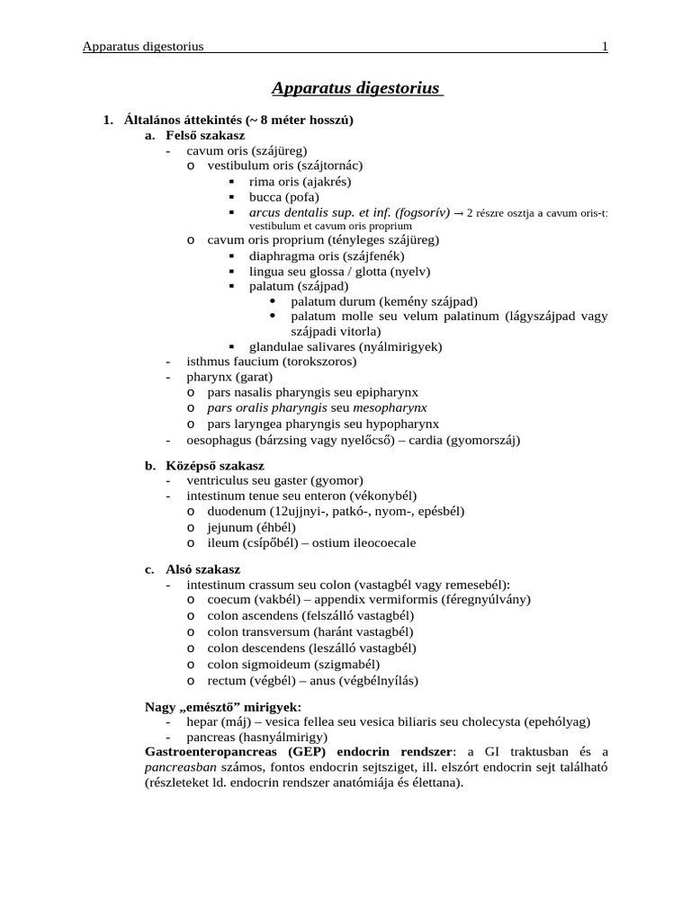 Apparatusdigestorius | PDF