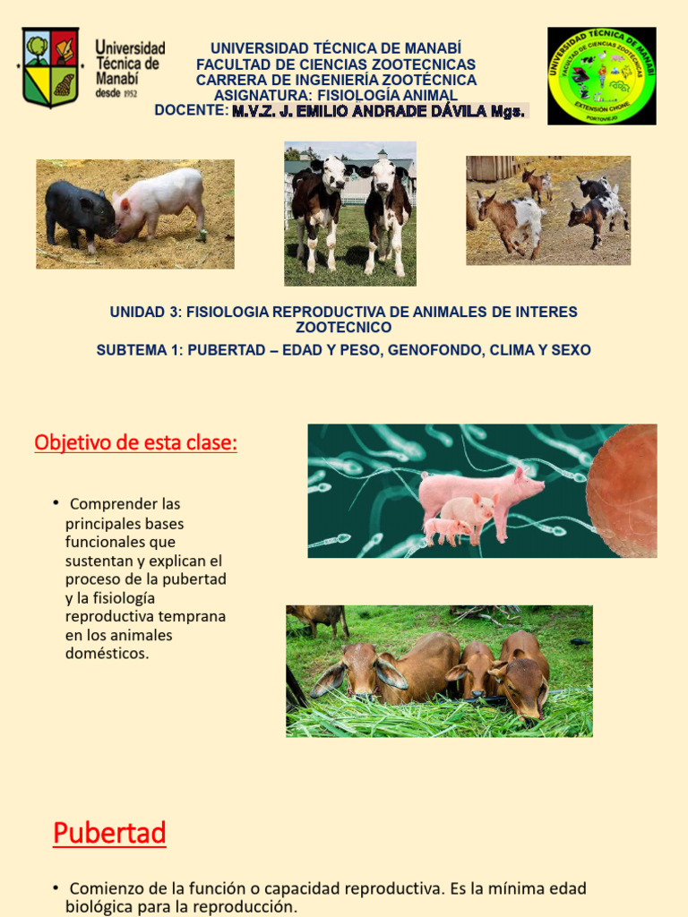 Pubertad en Animales Domésticos | PDF | Relaciones personales, crianza ...