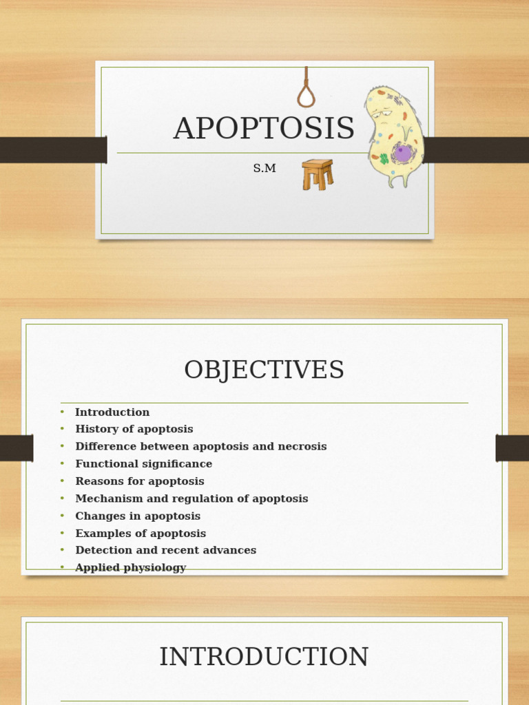 Apoptosis | PDF