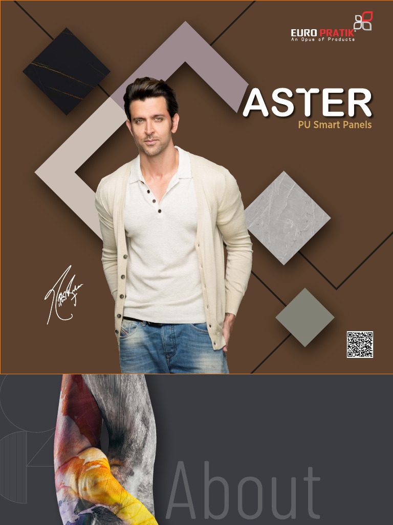 ASTER Catalogue | PDF
